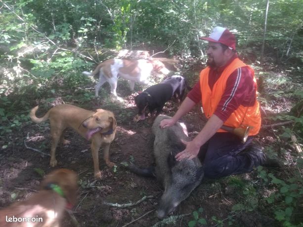 Matériel de sport d'occasion « chasse gros gibier » Toute la France ...