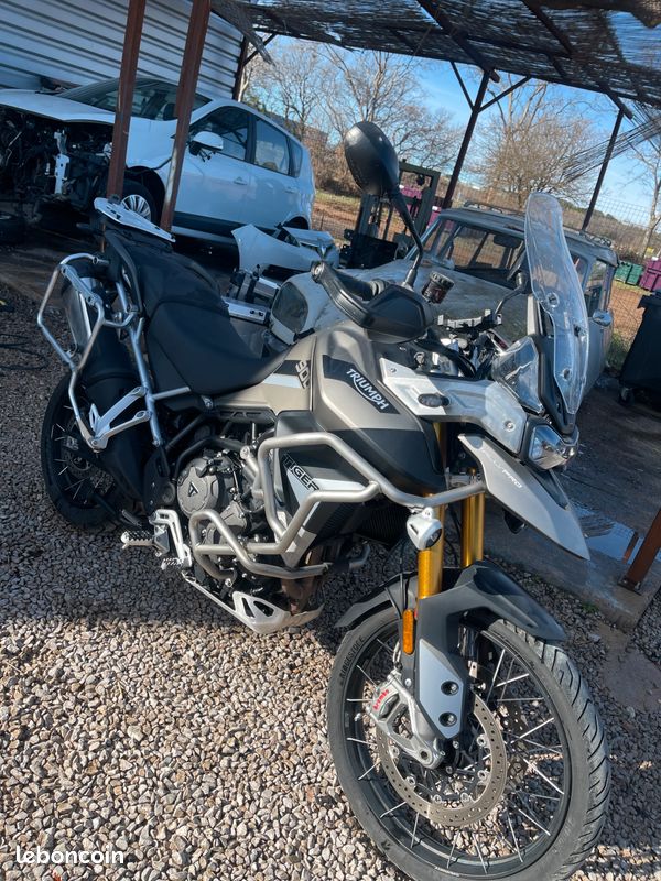 Triumph tiger 900 rally pro – 2023 – export uniquement - Motos