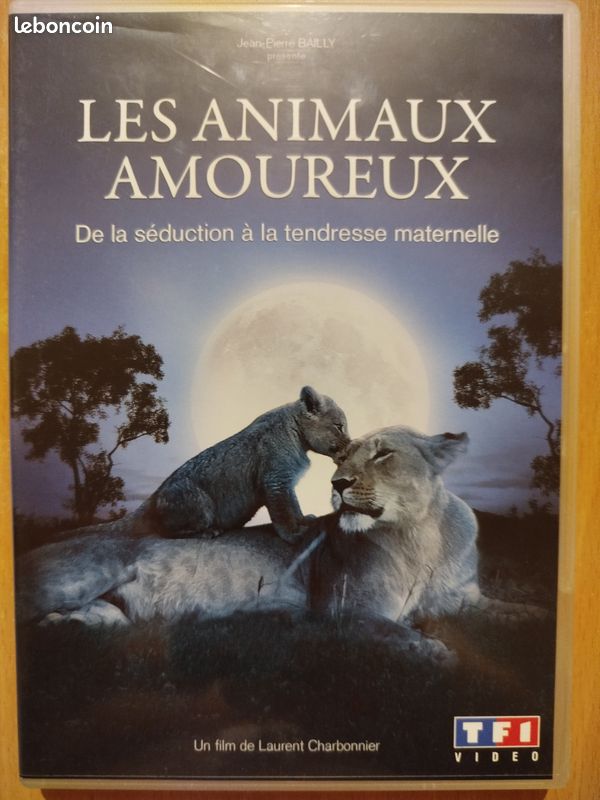 Les Animaux Amoureux - DVD - DVD - Films