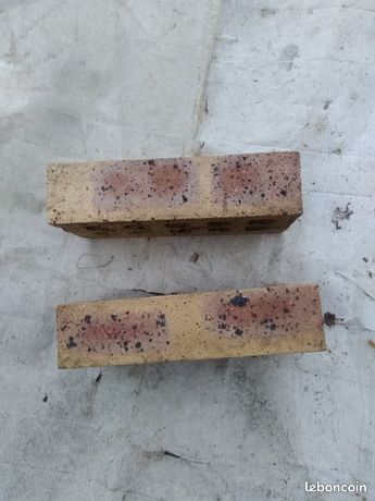 Brique leopard d'occasion - Bricolage - leboncoin