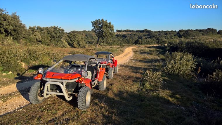 Buggy Axr 400 d’occasion | Plus que 4 à -65%