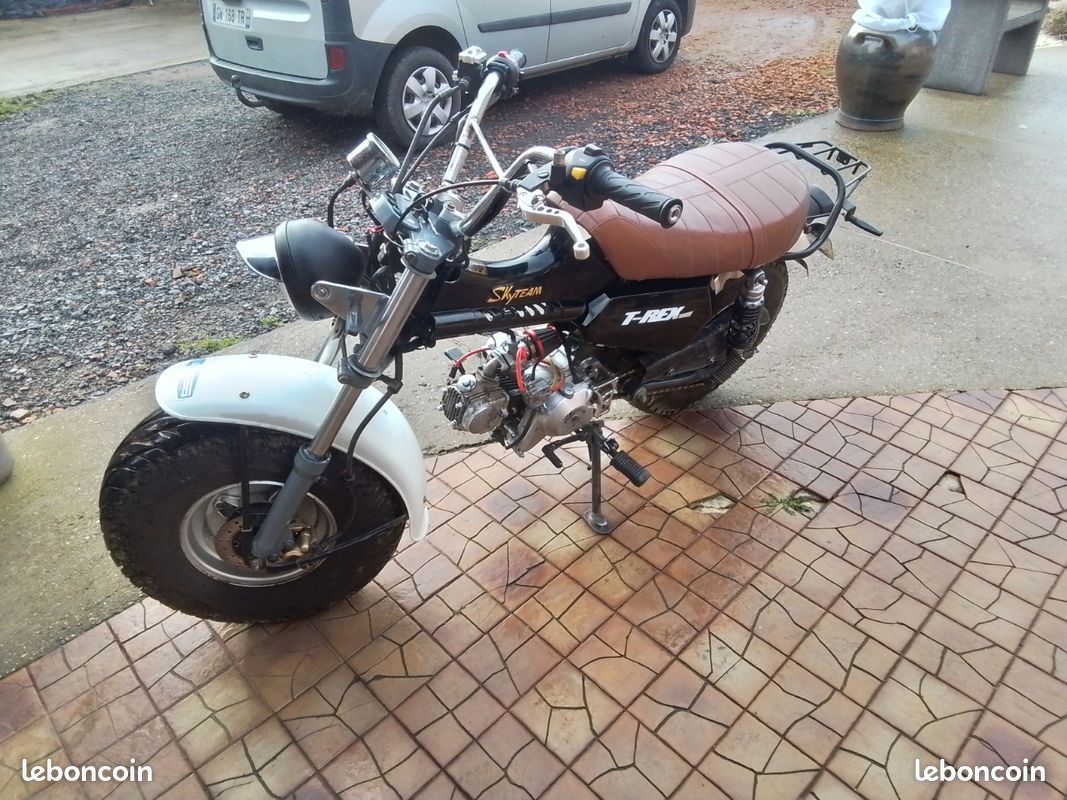 Skyteam t rex 50cc - Motos