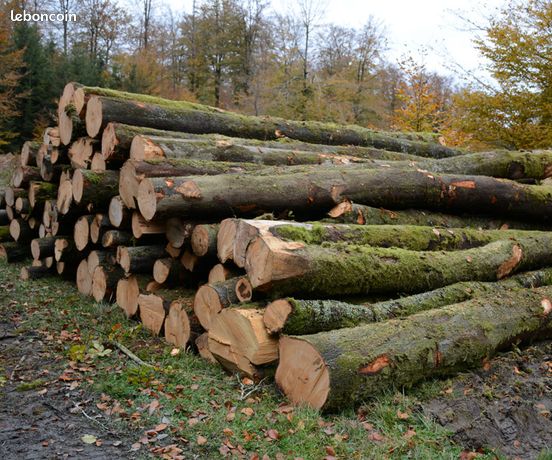 Grume de bois d'occasion - Matériel et outils de bricolage - leboncoin