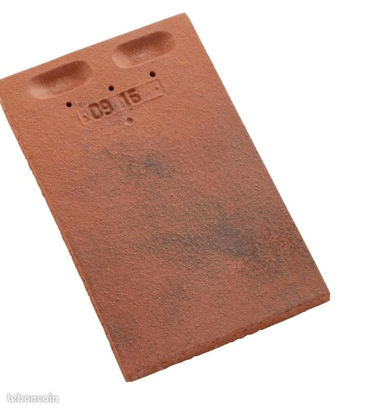 Tuile Plate 17x27null