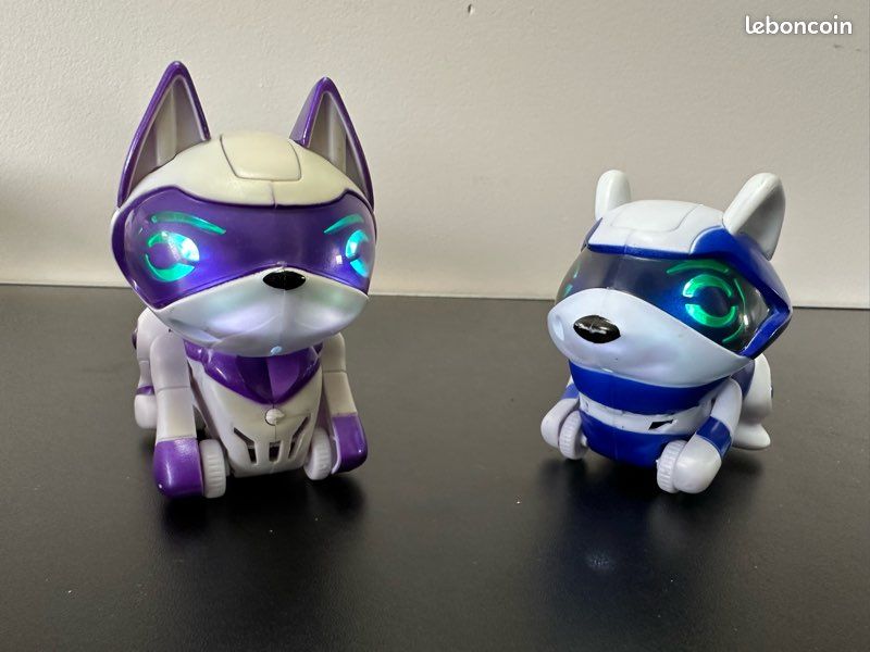 Petit robot Teksta : Kitty le cat et Raccoon - Jeux & Jouets