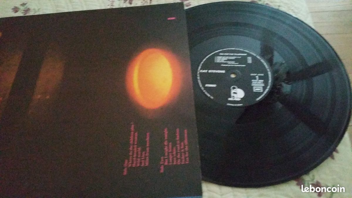 Disques vinyles pop 33 tours - Collection
