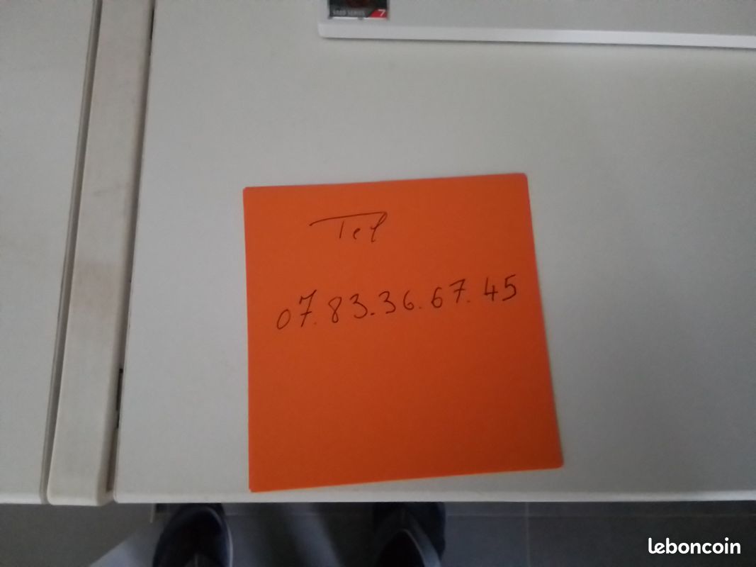 2 veritables LAGUIOL la mouche - Collection