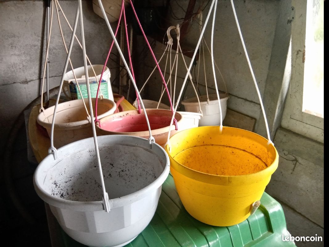 Pot de fleur en couleur vingt pot de fleurs suspendu - Jardin & Plantes