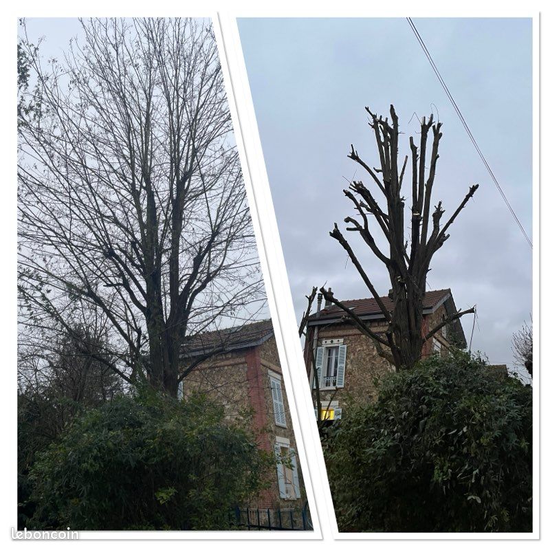 Paysagiste - Services de jardinerie & bricolage