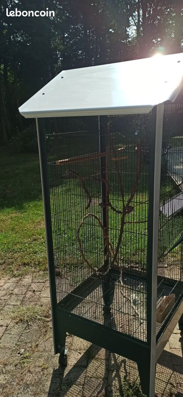 Cage oiseaux - Accessoires animaux