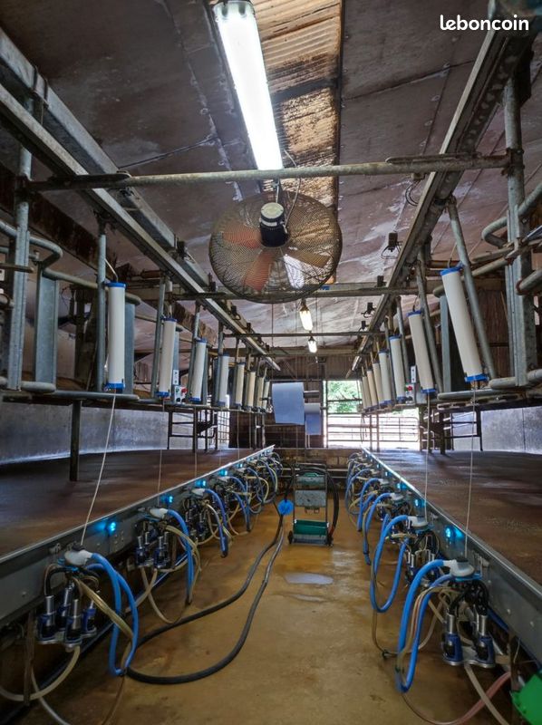 Salle de traite 2 x 8 Boumatic épi sorti rapide - Matériel agricole