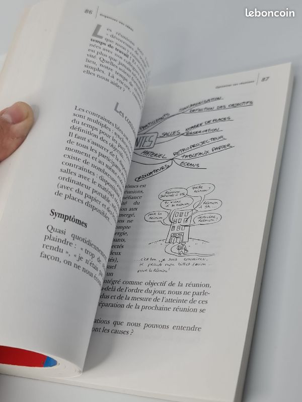 Organisez vos idées avec le Mind Mapping - Livres
