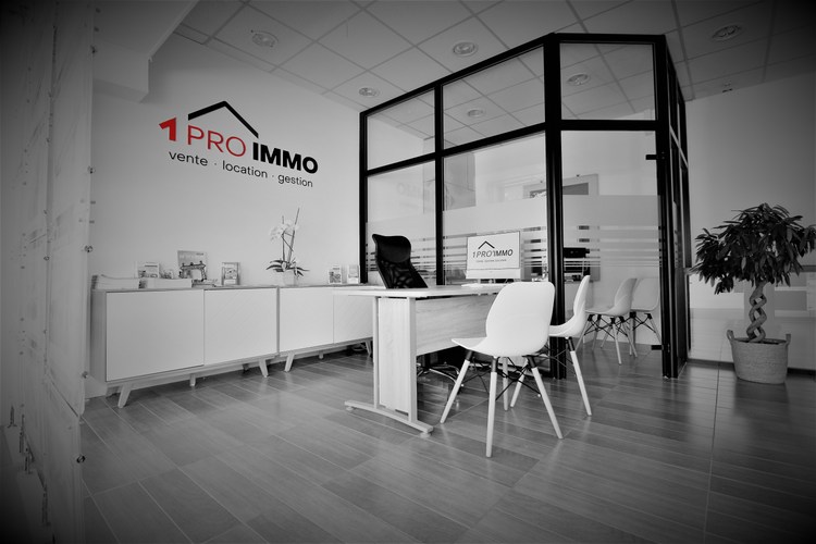 1Pro'Immo - Saint-Egrève (38120) - Pro leboncoin